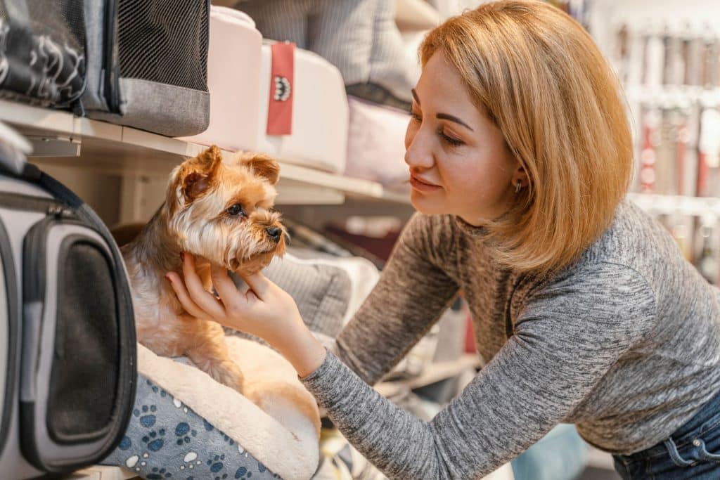 3 Best Pet Shops Near Clementi For All Your Pet Needs (2026)