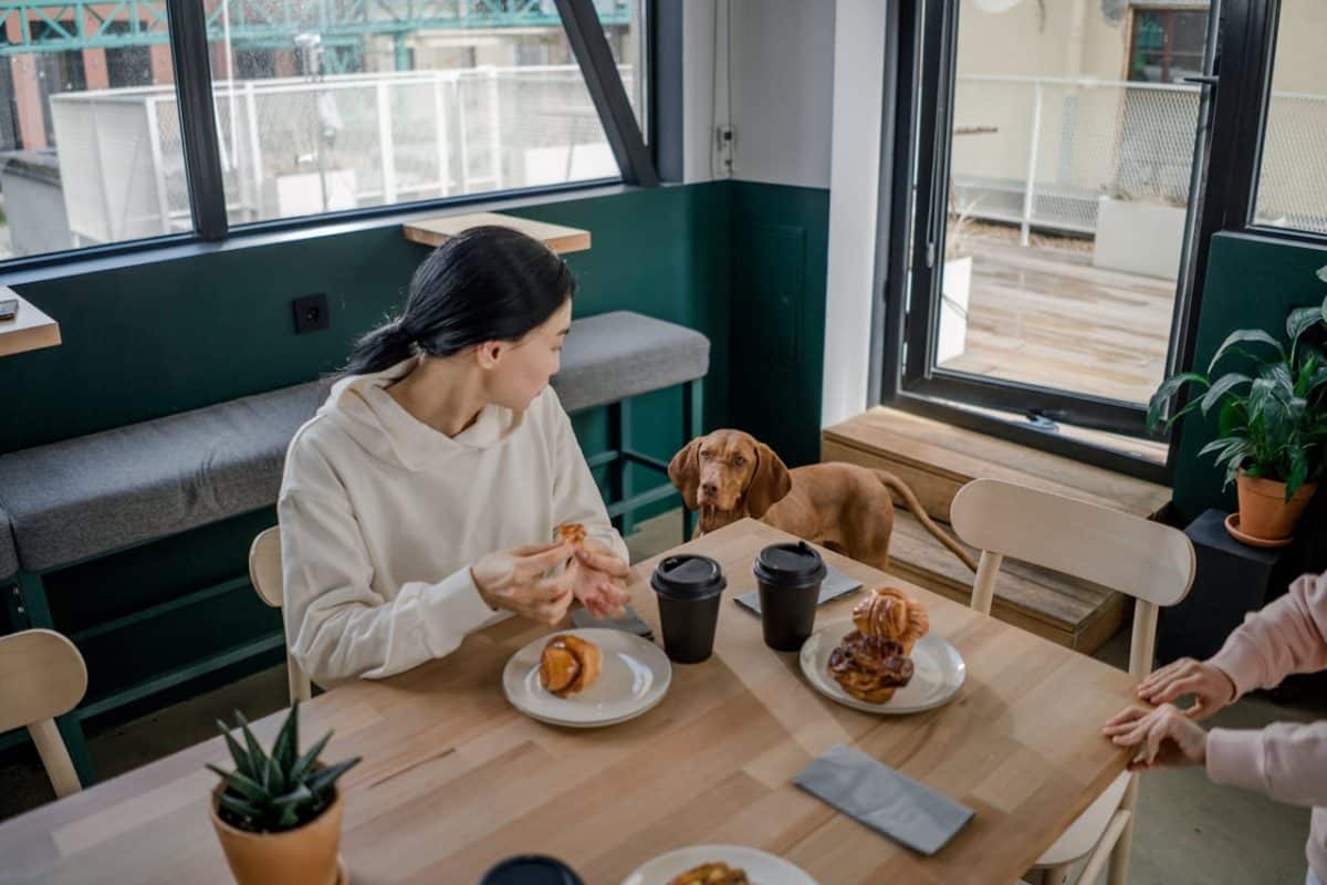 3 Best Cafe In Bugis You Must Visit To Enjoy Time (2025)